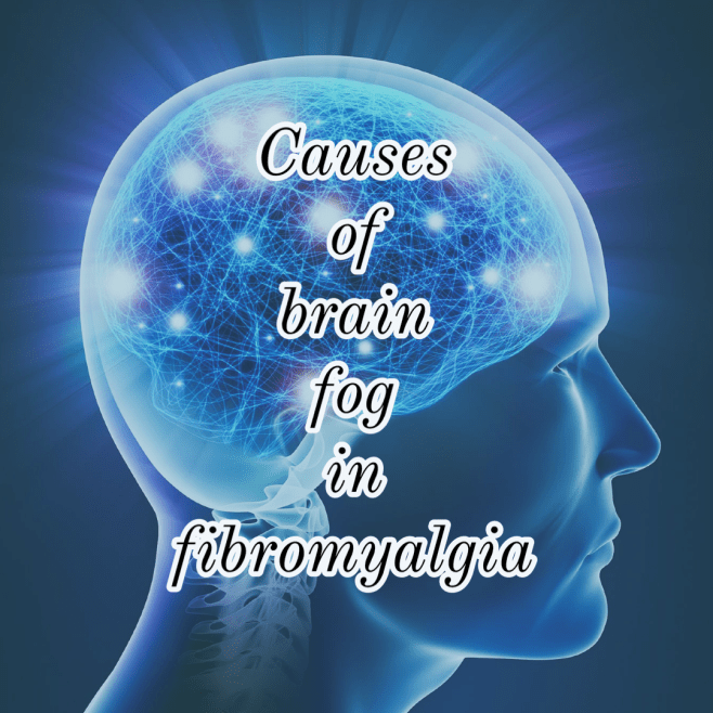 December | 2022 | FibroFighters